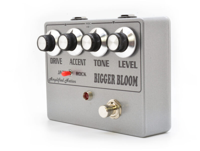 Bigger Bloom Overdrive - Amplified Nation